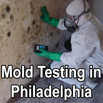 Philadelphia Mold Inspection